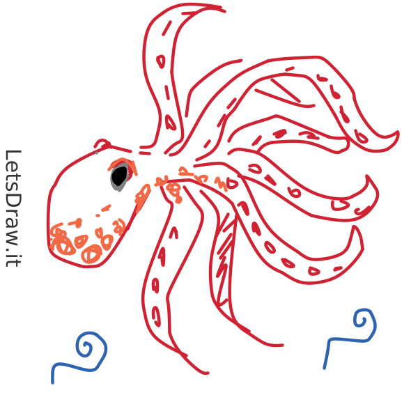 How to draw octopus / 7gksbwwkh.png / LetsDrawIt