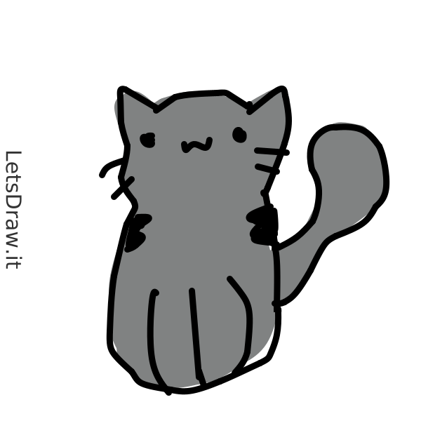 How to draw cat / 7k5bpsy9.png / LetsDrawIt