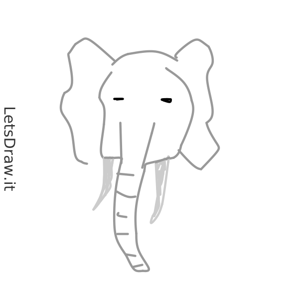 How to draw tusks / 7rpymh37t.png / LetsDrawIt