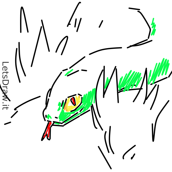 How to draw grass snake / 7wjxpzdm7.png / LetsDrawIt