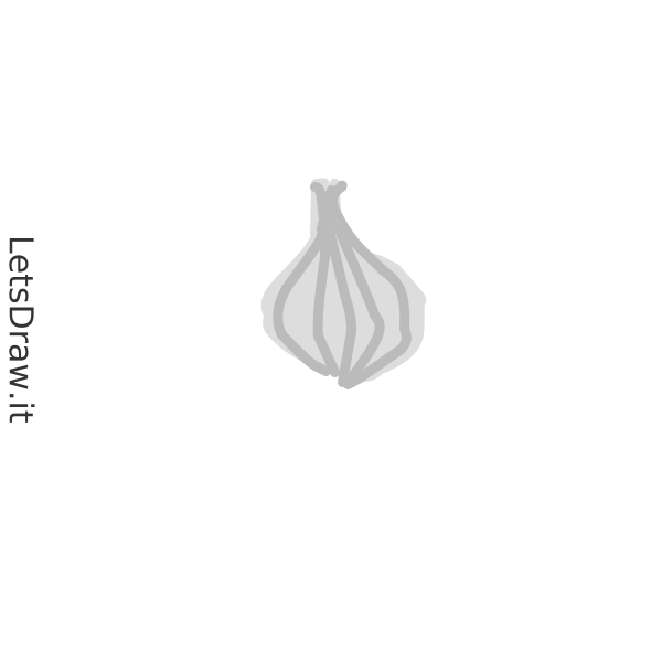 How to draw garlic / 7yo5eawma.png / LetsDrawIt
