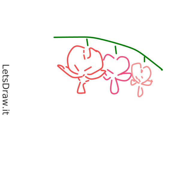 How to draw bleeding heart / 7z3kpa6kn.png / LetsDrawIt