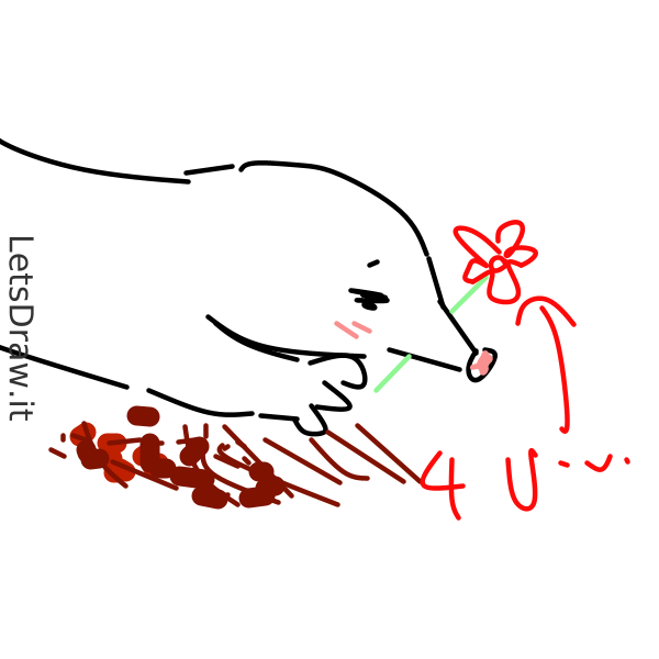 How to draw mole / 81c5pywz8.png / LetsDrawIt