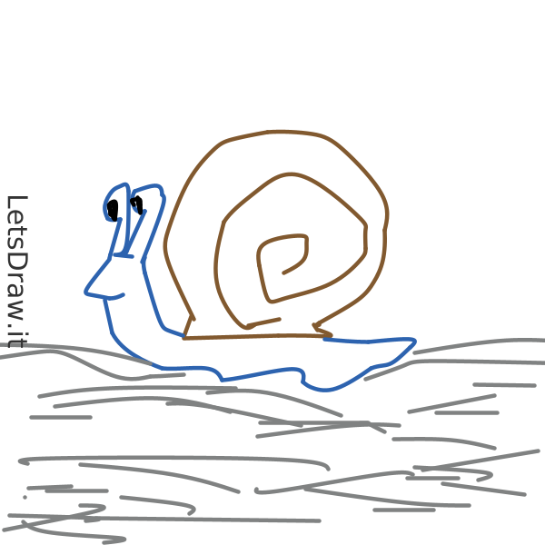 How to draw snail / 8547ddyr9.png / LetsDrawIt