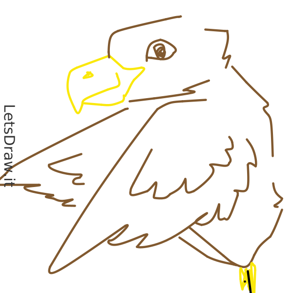 How to draw falcon / 85u1sc48.png / LetsDrawIt