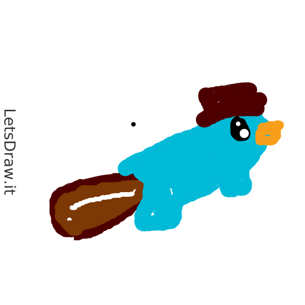 How to draw platypus / 8cbwxq7xr.png / LetsDrawIt