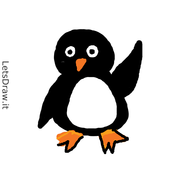 How to draw penguin / 8chq1pib8.png / LetsDrawIt