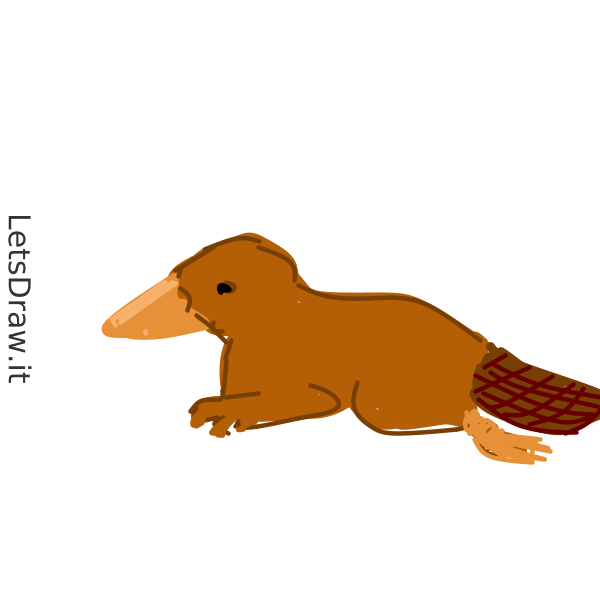 How to draw platypus / 8d498yfh4.png / LetsDrawIt