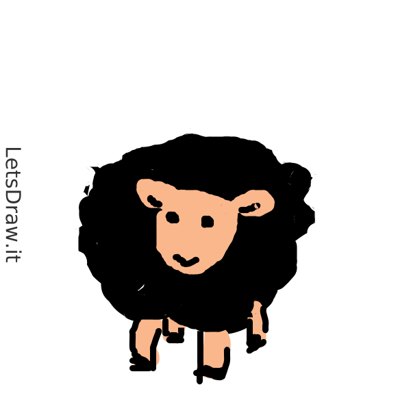 How to draw black sheep / 8dgqoyhjj.png / LetsDrawIt