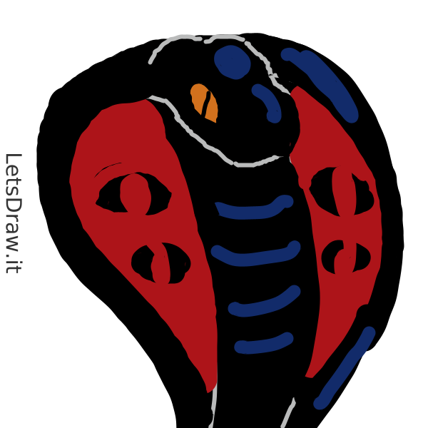 How to draw cobra / 8hust5yf4.png / LetsDrawIt