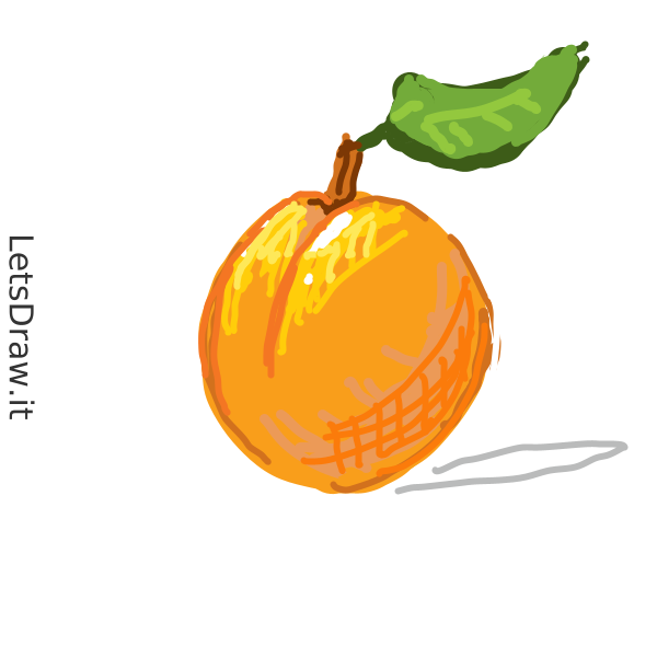 How to draw apricot / 8ksaug1hx.png / LetsDrawIt