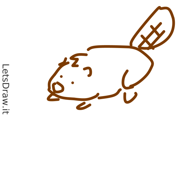 How to draw beaver / 8pm5jqbsi.png / LetsDrawIt