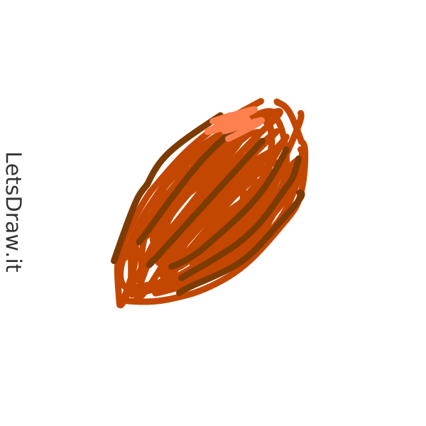 How to draw almond / 8spwm98ap.png / LetsDrawIt