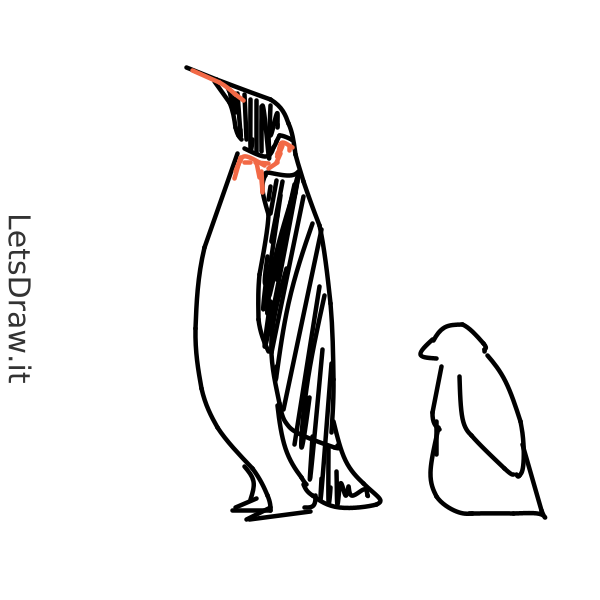 How to draw penguin / 8xax9xp9.png / LetsDrawIt