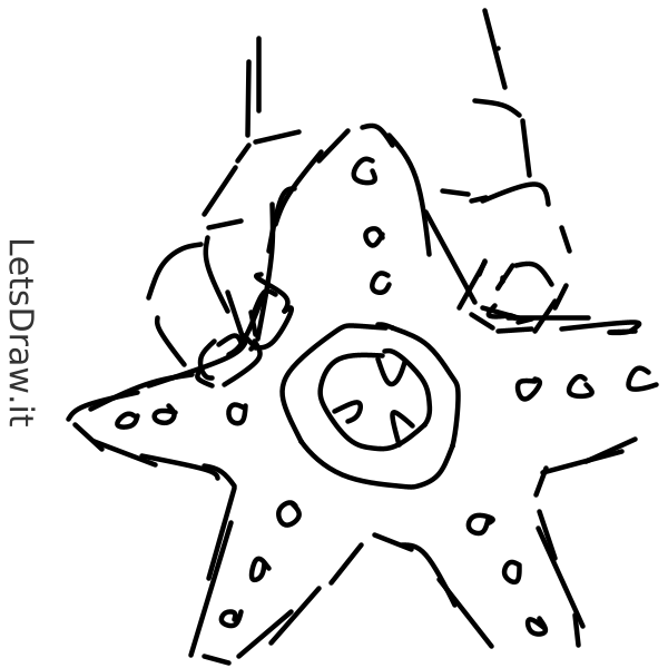 How to draw sea star / 935cpedjk.png / LetsDrawIt