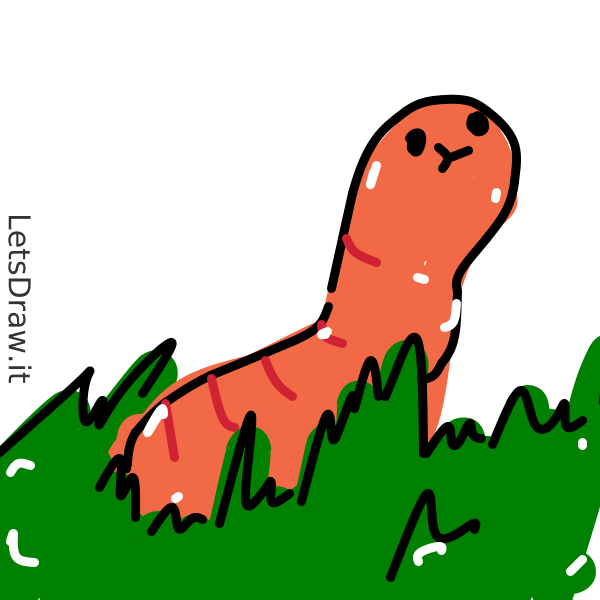 How to draw worm / 943unjhk3.png / LetsDrawIt