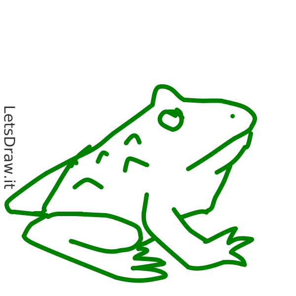 How to draw frog / 97x5rhhkc.png / LetsDrawIt