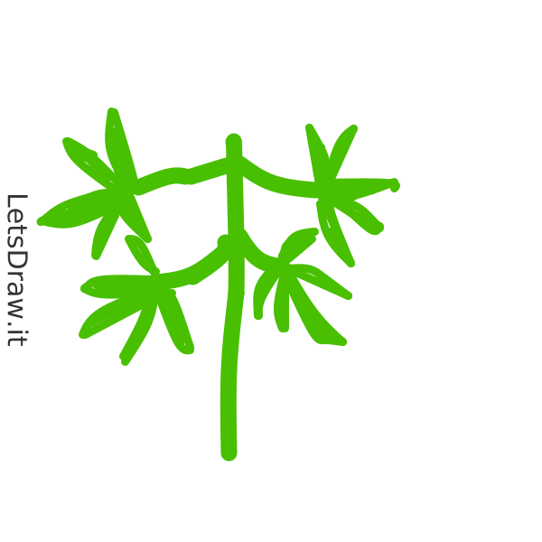 How to draw Cannabis / 9apqk8itx.png / LetsDrawIt