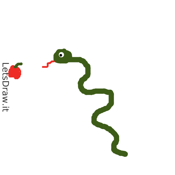 How to draw grass snake / 9bg1otxf4.png / LetsDrawIt