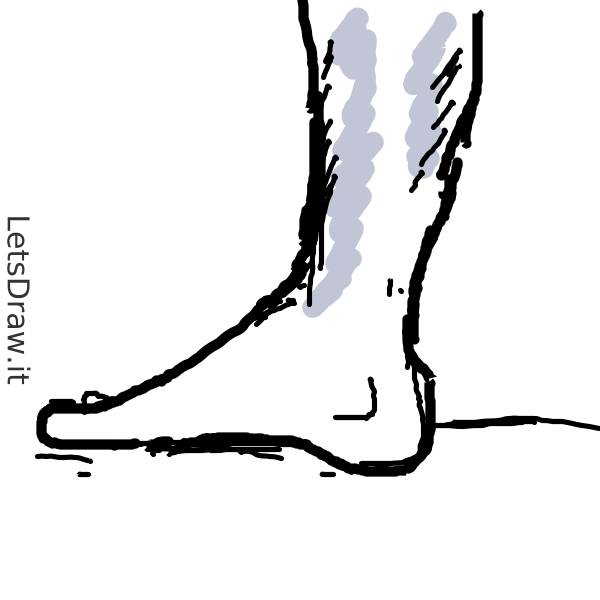 How to draw feet / 9c7ykhyoo.png / LetsDrawIt