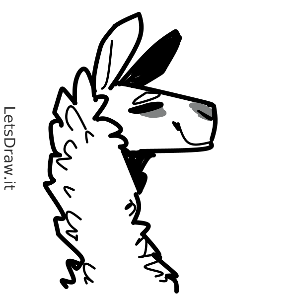 How to draw lama / 9dmfqjjn.png / LetsDrawIt