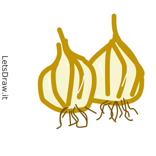 How to draw garlic / 9fxbpi1kk.png / LetsDrawIt