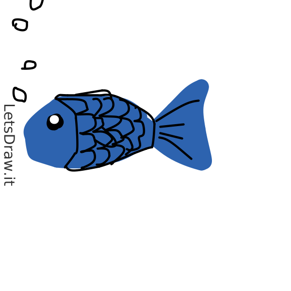 How to draw fish / 9hfddmea3.png / LetsDrawIt
