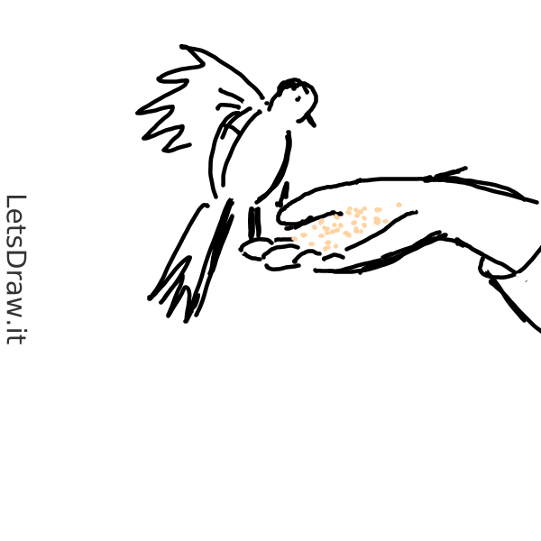 How to draw bird in the hand / 9it3ten1g.png / LetsDrawIt