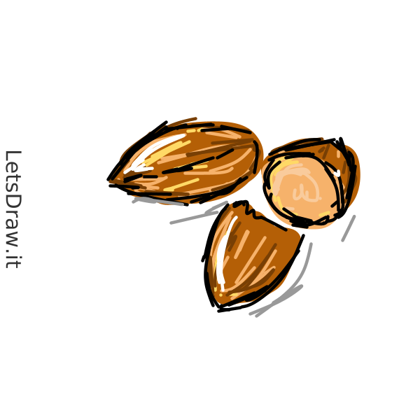 How to draw almond / 9p9cen31b.png / LetsDrawIt