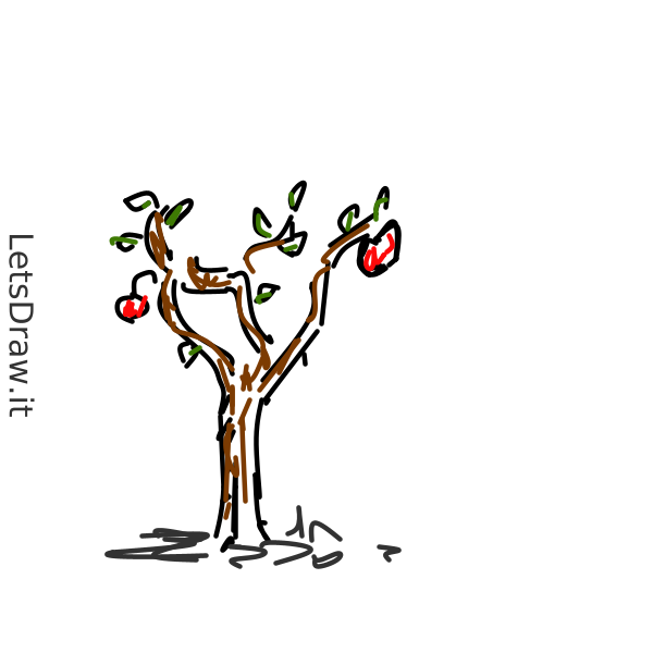 How to draw apple tree / 9ppie5doc.png / LetsDrawIt