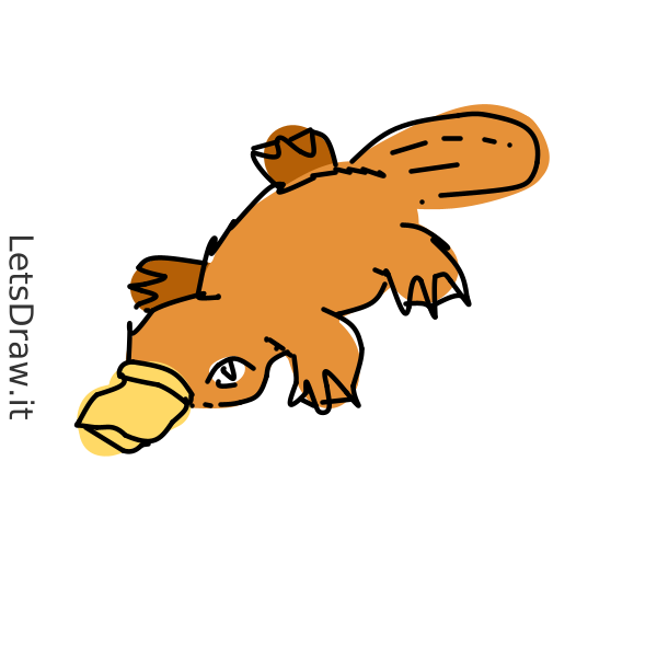 How to draw platypus / 9q7qdhhqc.png / LetsDrawIt
