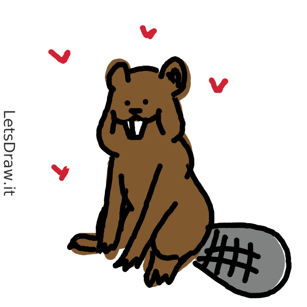 How to draw beaver / 9q91g3coj.png / LetsDrawIt