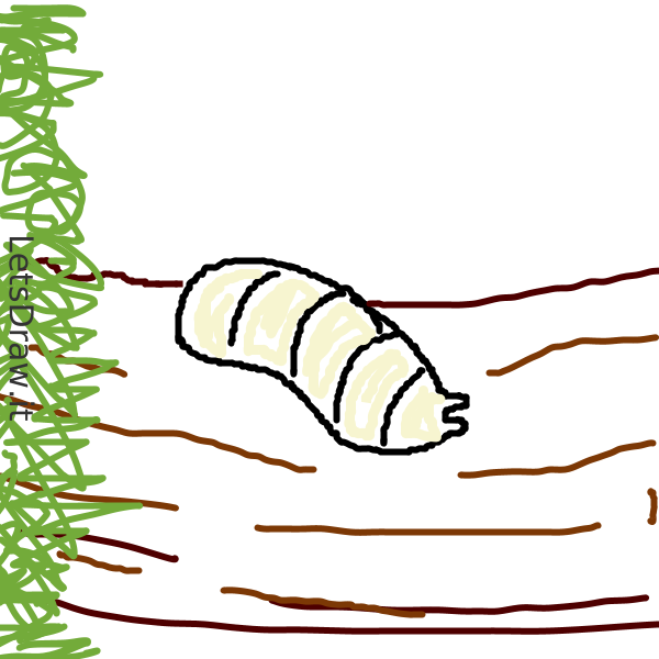 How to draw larva / 9qgdqradn.png / LetsDrawIt