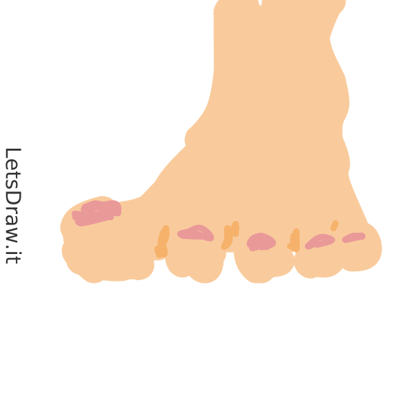How to draw toe / 9wq9rmc61.png / LetsDrawIt