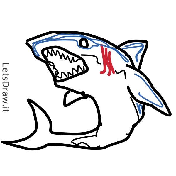 How to draw shark / 9wqnn36ih.png / LetsDrawIt