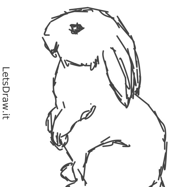 How to draw bunny / 9xca8tip6.png / LetsDrawIt