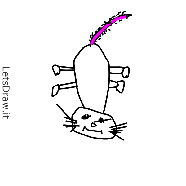 How to draw dead rat / 9xpweokug.png / LetsDrawIt