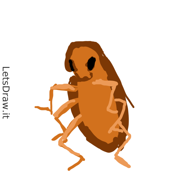 How to draw roach / 9xzn1mt6w.png / LetsDrawIt