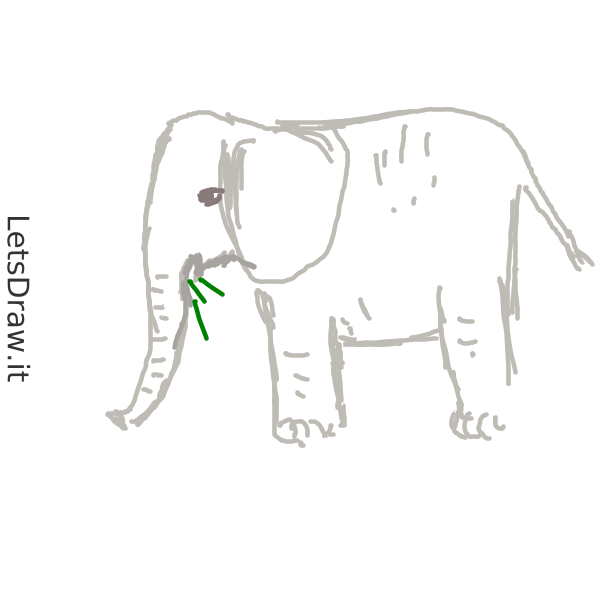 How to draw elephant / 9z3rtdi45.png / LetsDrawIt