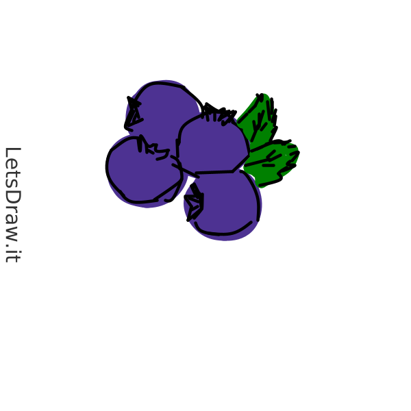 How to draw blueberry / 9z6ynj3da.png / LetsDrawIt
