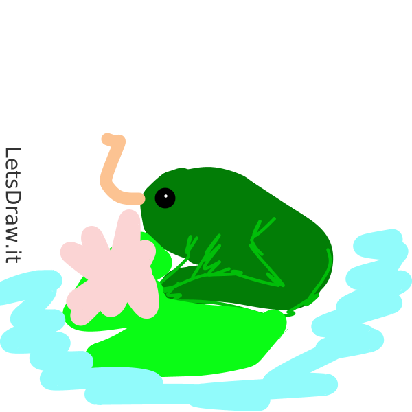How to draw frog / 9zufkx785.png / LetsDrawIt