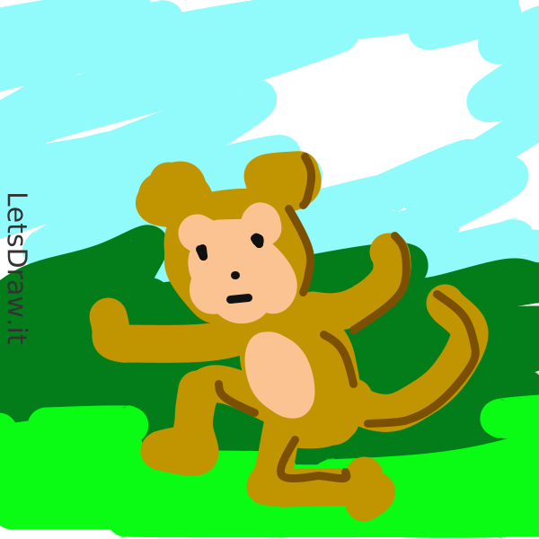 How to draw monkey / 9zwapuz6e.png / LetsDrawIt