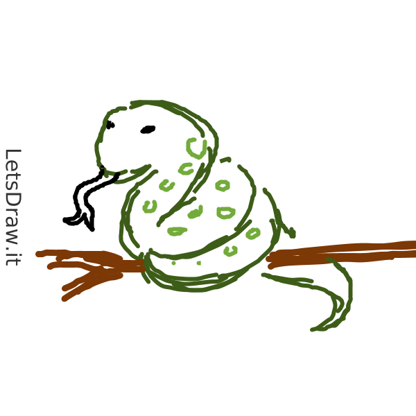 How to draw snakes / a3srqn91f.png / LetsDrawIt