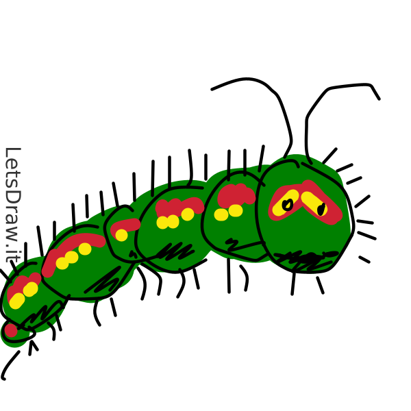 How to draw caterpillar / a4crn3njf.png / LetsDrawIt