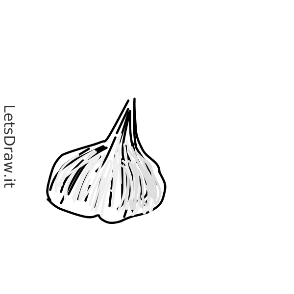 How to draw garlic / a7q3pfpf3.png / LetsDrawIt