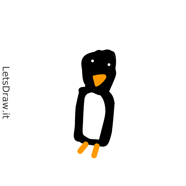 How to draw penguin / a9wngawzb.png / LetsDrawIt