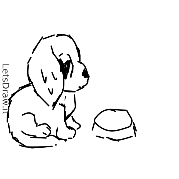 How to draw animal / ad7gaz64.png / LetsDrawIt