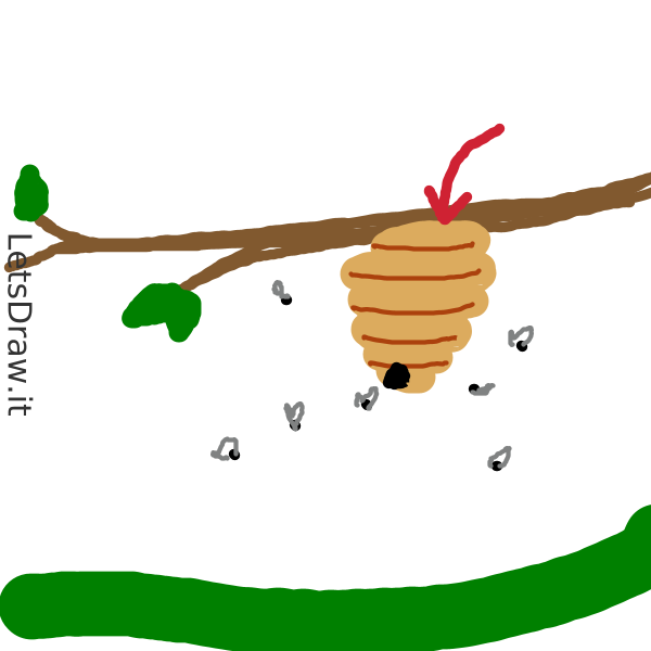 How to draw bee hive / afguqs97x.png / LetsDrawIt