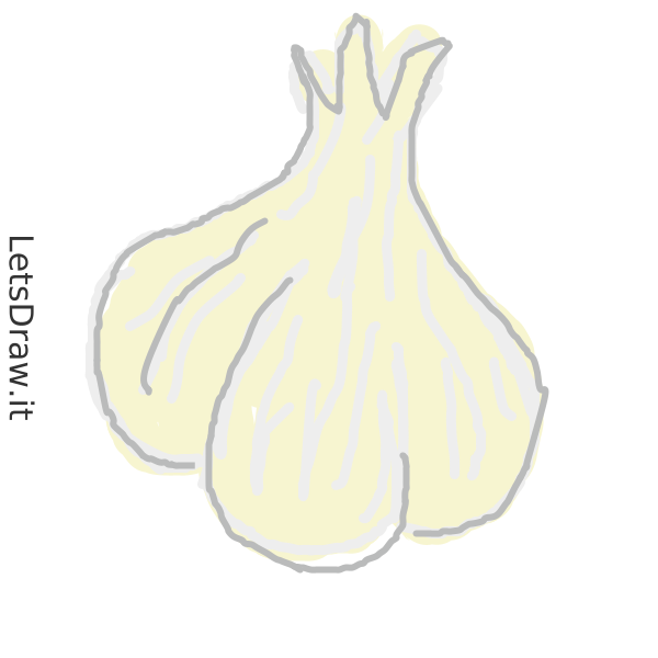 How to draw garlic / ahi7qm485.png / LetsDrawIt
