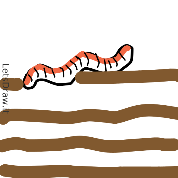 How to draw Worms / aj1zrdb4o.png / LetsDrawIt